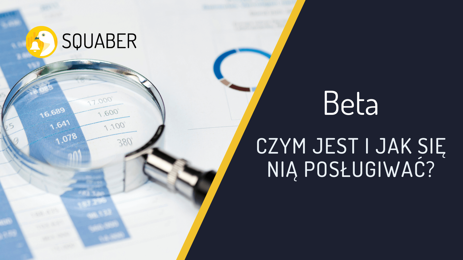 Beta - czym jest i jak się nią posługiwać? - Blog Squaber